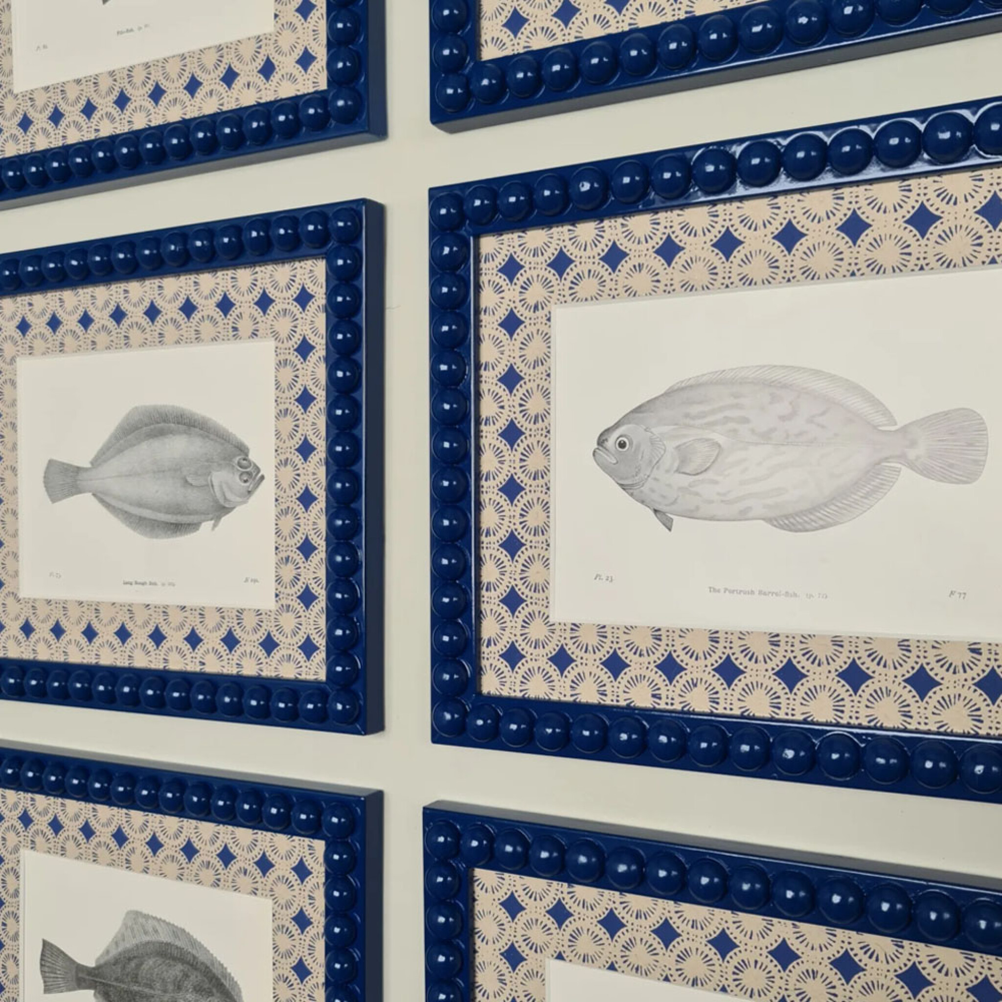 Set of six fish prints in bobbin frames