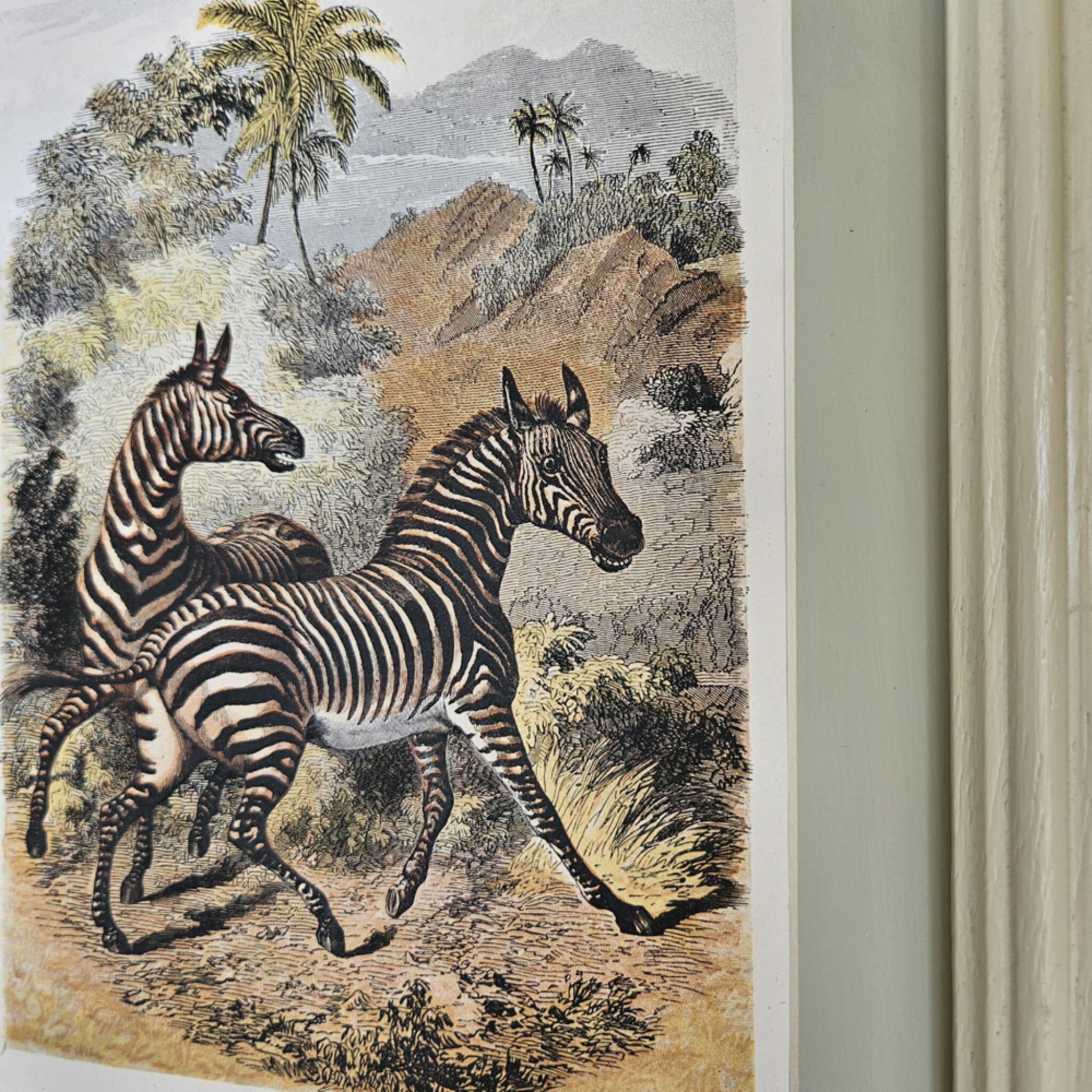 Zebra Print in Chunky Frame
