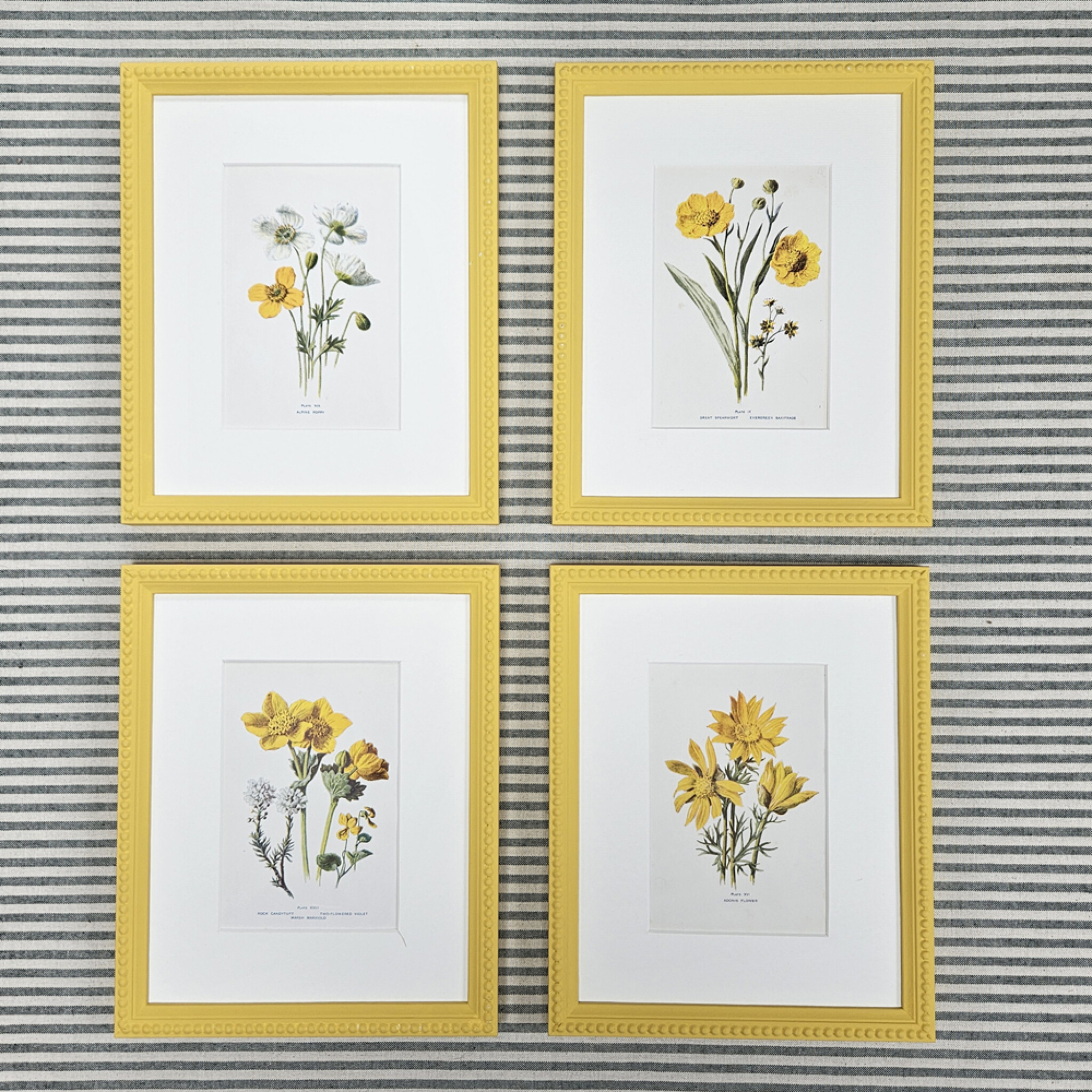 Set of 4 Botanical Prints in Yellow Frames